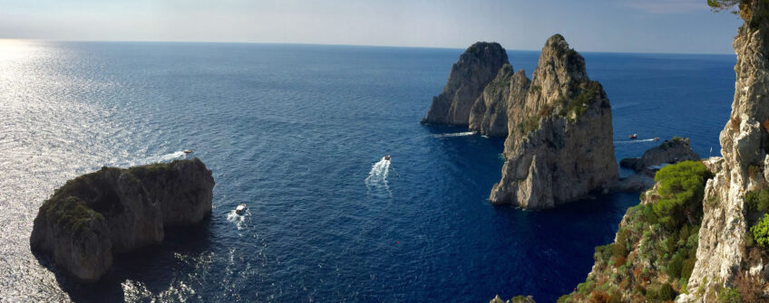 capri - Malark Third-Party Logistics, 3PL Freight Logistics